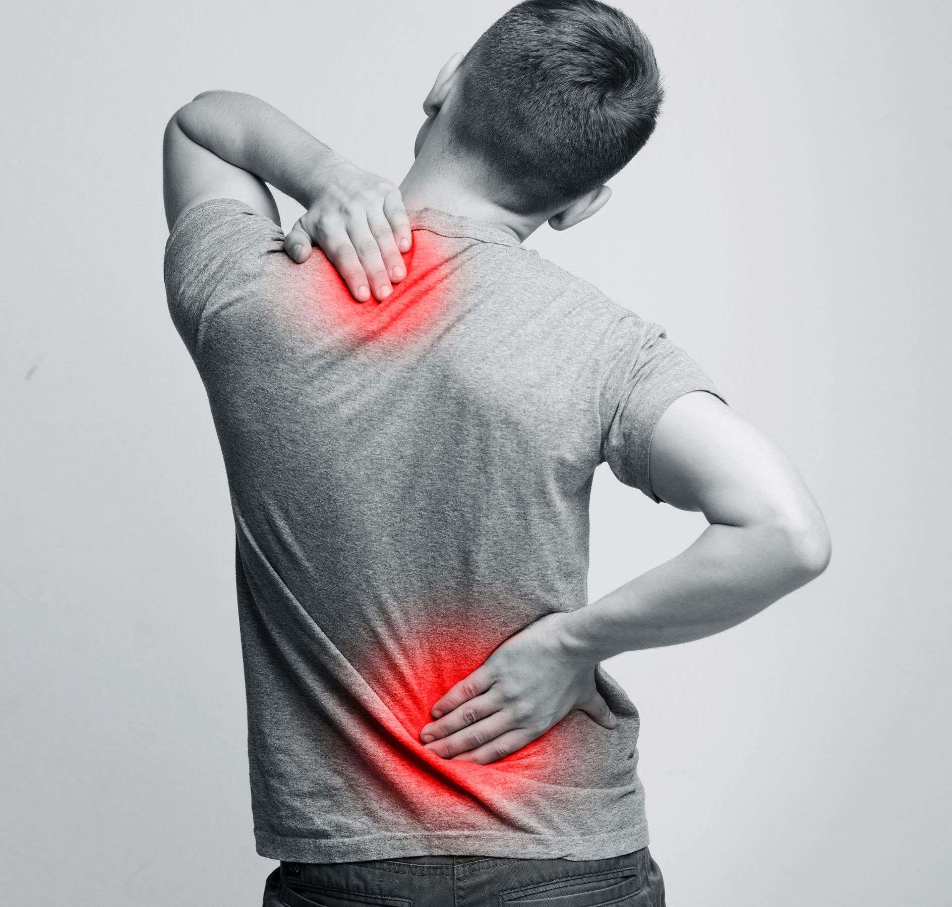 Back Pain – Vital Rehab & Performance PT